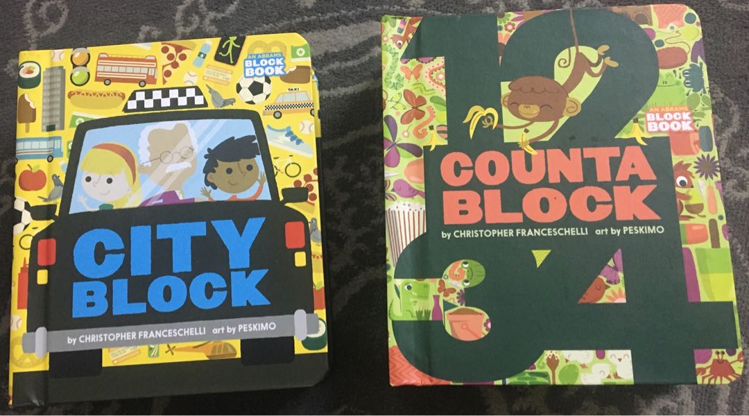 NEW book Countablock/Cityblock, kids book, read aloud, Montessori ...