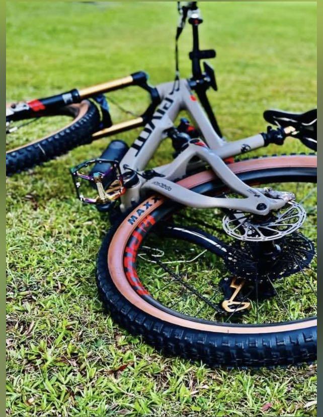 Pivot Firebird 2020 (M 29er), Sports Equipment, Bicycles & Parts, Parts ...