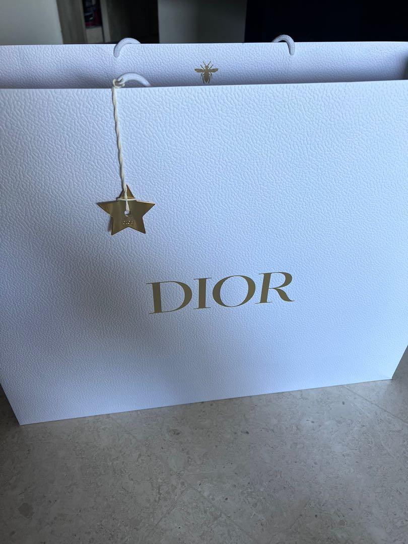 Dior paper bag, Hobbies & Toys, Stationery & Craft, Other Stationery ...