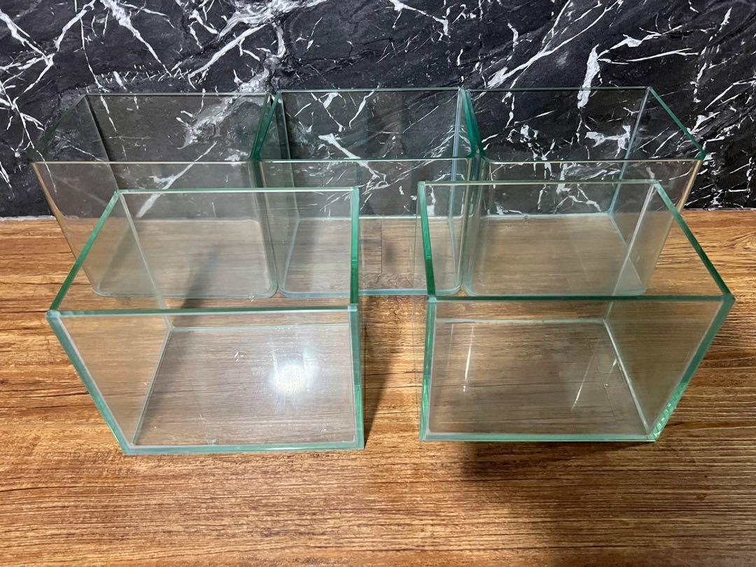 Glass Fish tank, Pet Supplies, Homes & Other Pet Accessories on Carousell