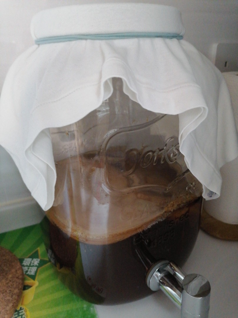 Giant Kombucha scoby (gallon sized), 嘢食 & 嘢飲, 飲料 - Carousell