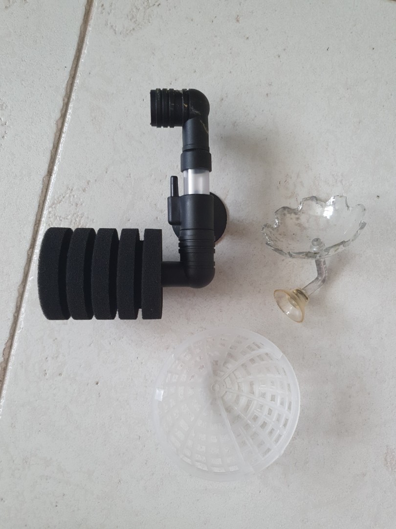 Sponge filter, feeding dish and moss cap, Pet Supplies, Homes & Other ...