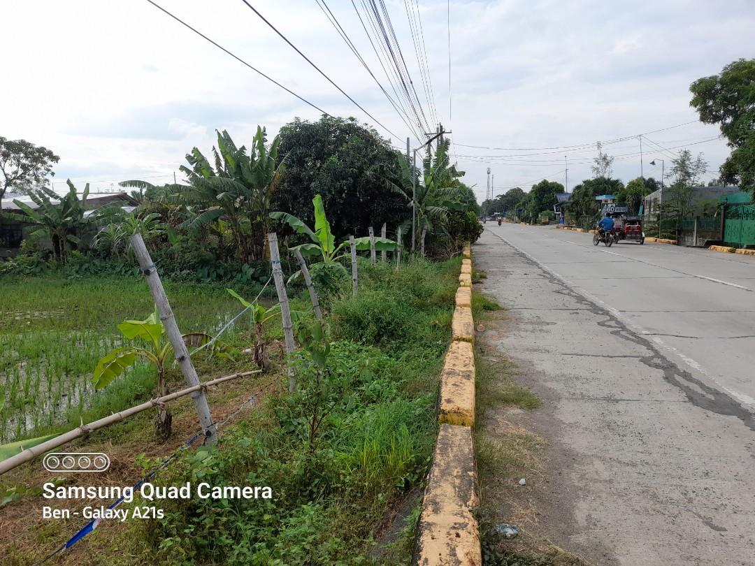 3.6 HECTARES IN CUYAPO NUEVA ECIJA, Property, For Sale, Lot on Carousell