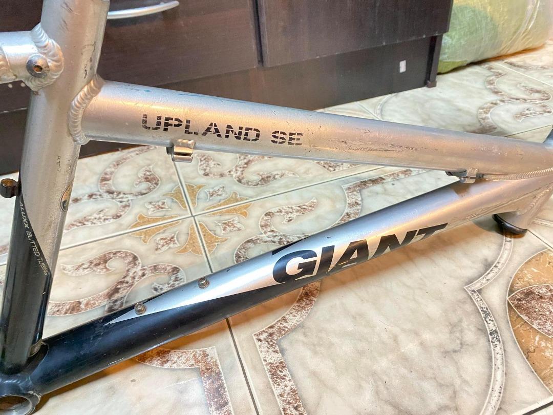 Giant frame, Sports Equipment, Bicycles & Parts, Bicycles on Carousell