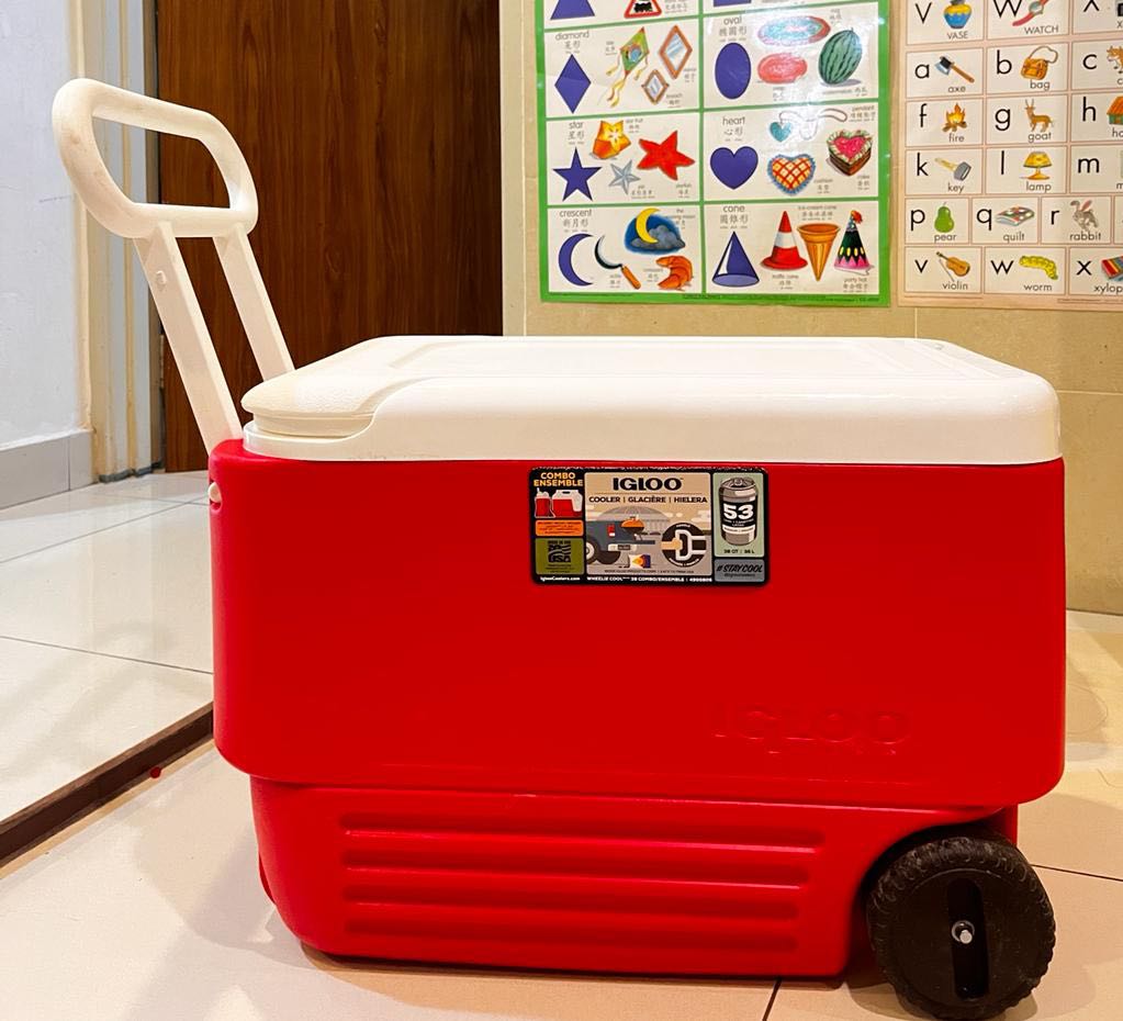 IGLOO Coolerbox（nego）, TV & Home Appliances, Kitchen Appliances, Other ...