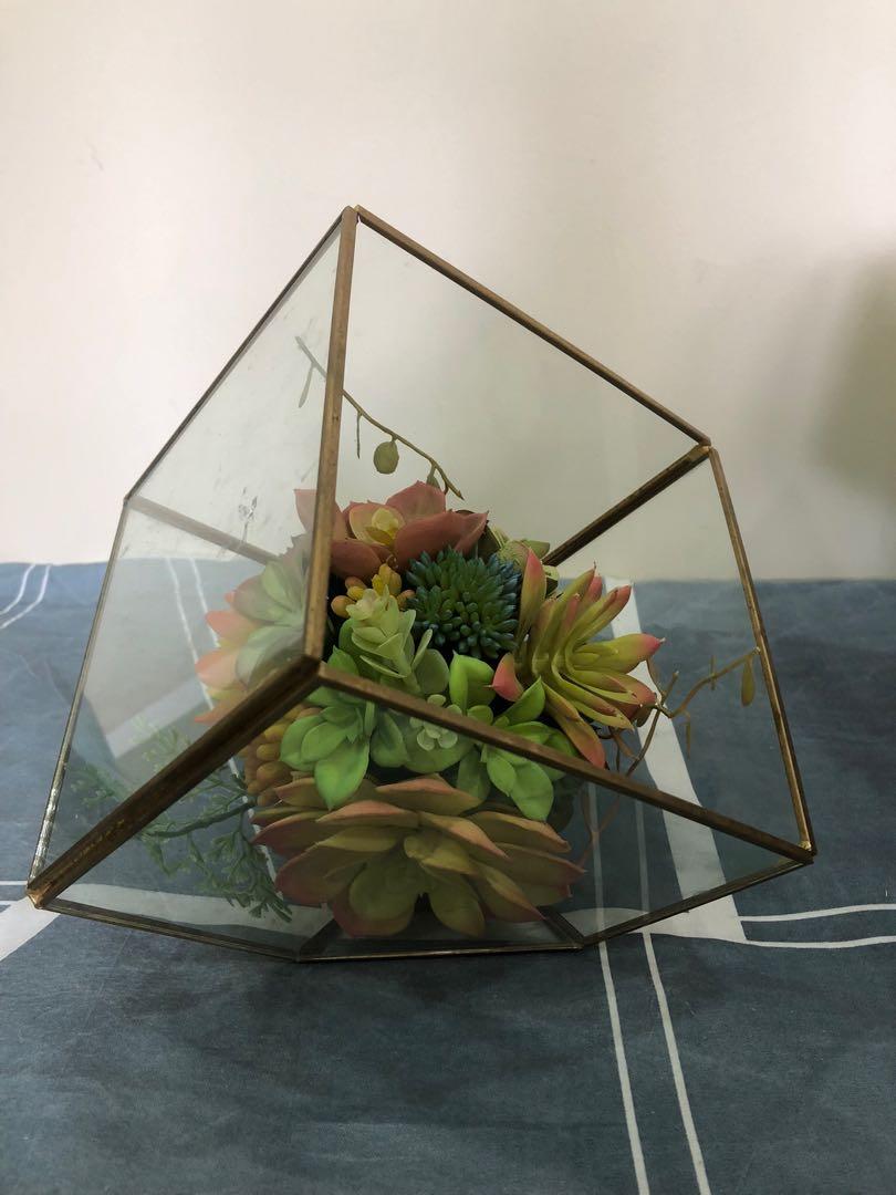 Terrarium glass display with artificial succulents, Furniture & Home ...