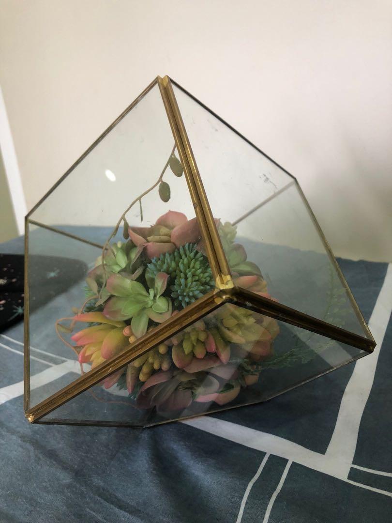 Terrarium glass display with artificial succulents, Furniture & Home ...