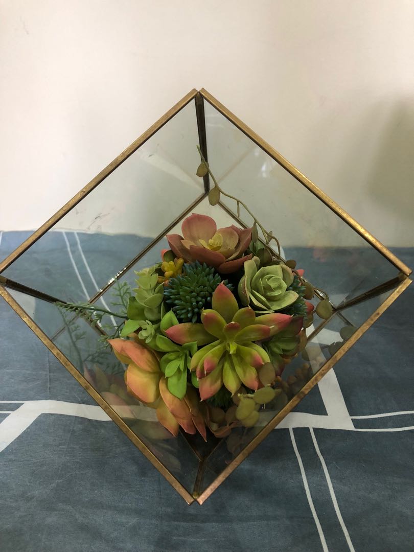 Terrarium glass display with artificial succulents, Furniture & Home ...