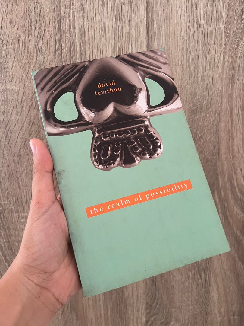 The Realm of Possibility by David Levithan, Hobbies & Toys, Books ...