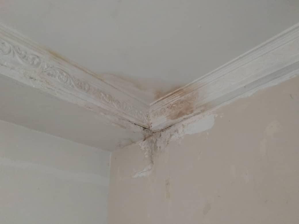 Tukang shiling, Services, Home Services, Renovations on Carousell