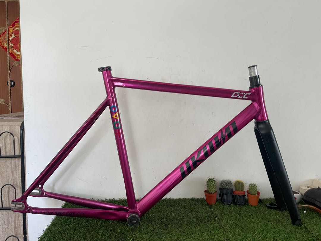 Unknown Type 1 Frameset with Throne carbon fork, Sports Equipment ...
