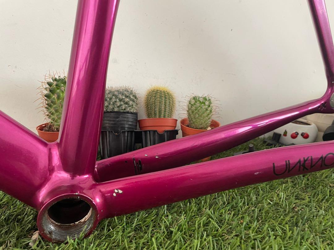 Unknown Type 1 Frameset with Throne carbon fork, Sports Equipment ...