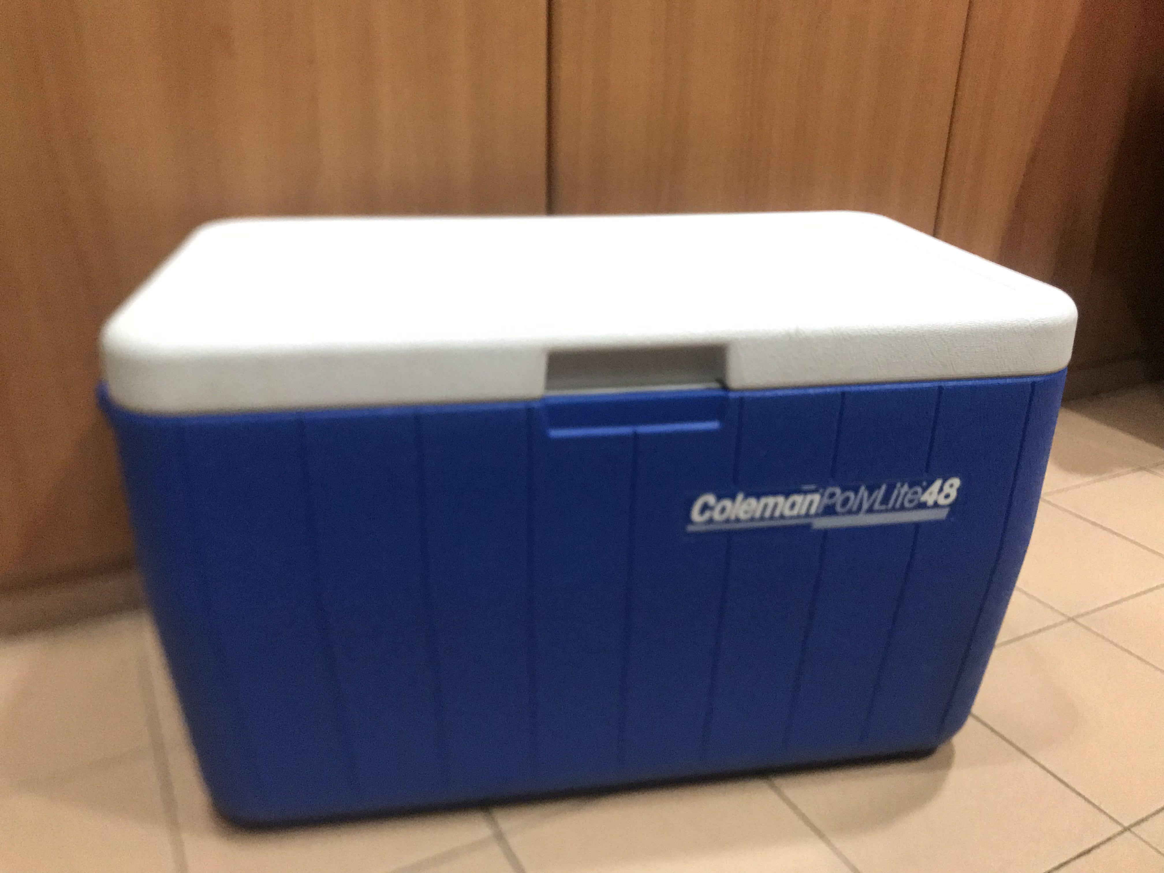 Coleman PolyLite48 cooler box, Furniture & Home Living, Home ...