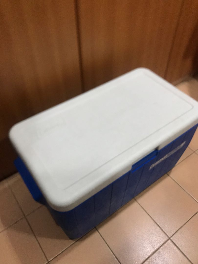 Coleman PolyLite48 cooler box, Furniture & Home Living, Home ...