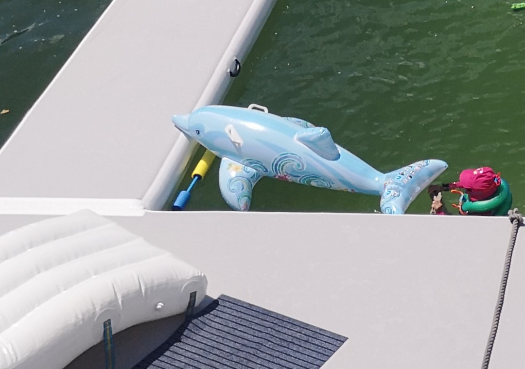 INTEX blue dolphin floatie, 興趣及遊戲, 玩具 & 遊戲類 - Carousell