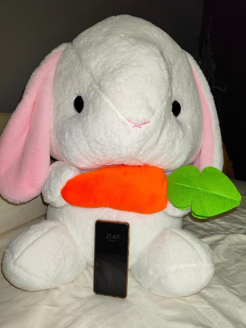 Jumbo Rabbit/Bunny Plush, Hobbies & Toys, Toys & Games on Carousell