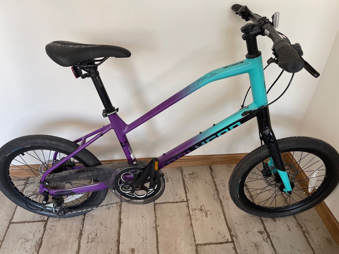 polygon zeta 2, Sports Equipment, PMDs, E-Scooters & E-Bikes, E ...