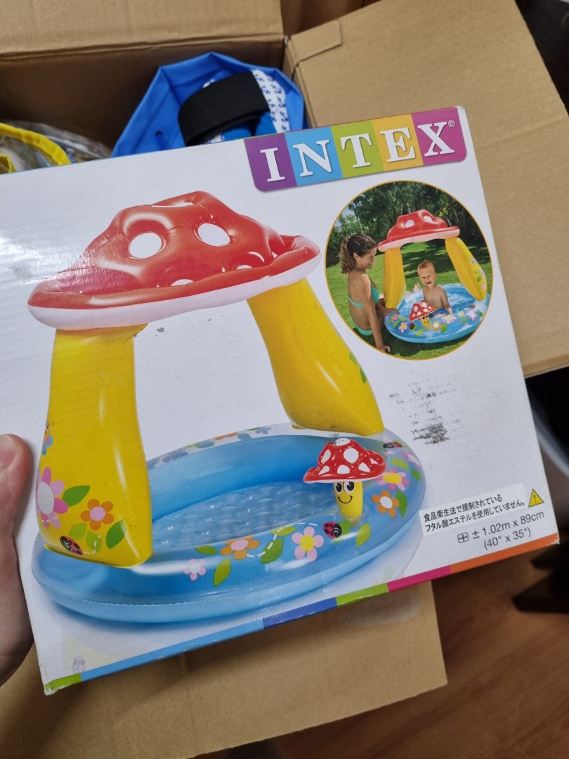 Intex Mushroom Parasol Pool, Babies & Kids, Infant Playtime on Carousell