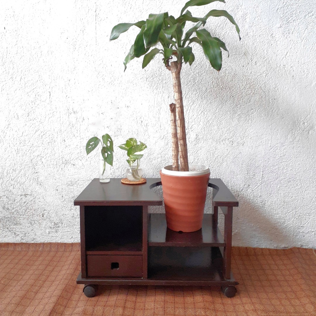 Multipurpose mini cart plant stand with drawer and shelves, Furniture ...