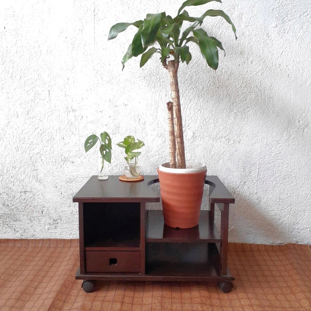 Multipurpose mini cart plant stand with drawer and shelves, Furniture ...