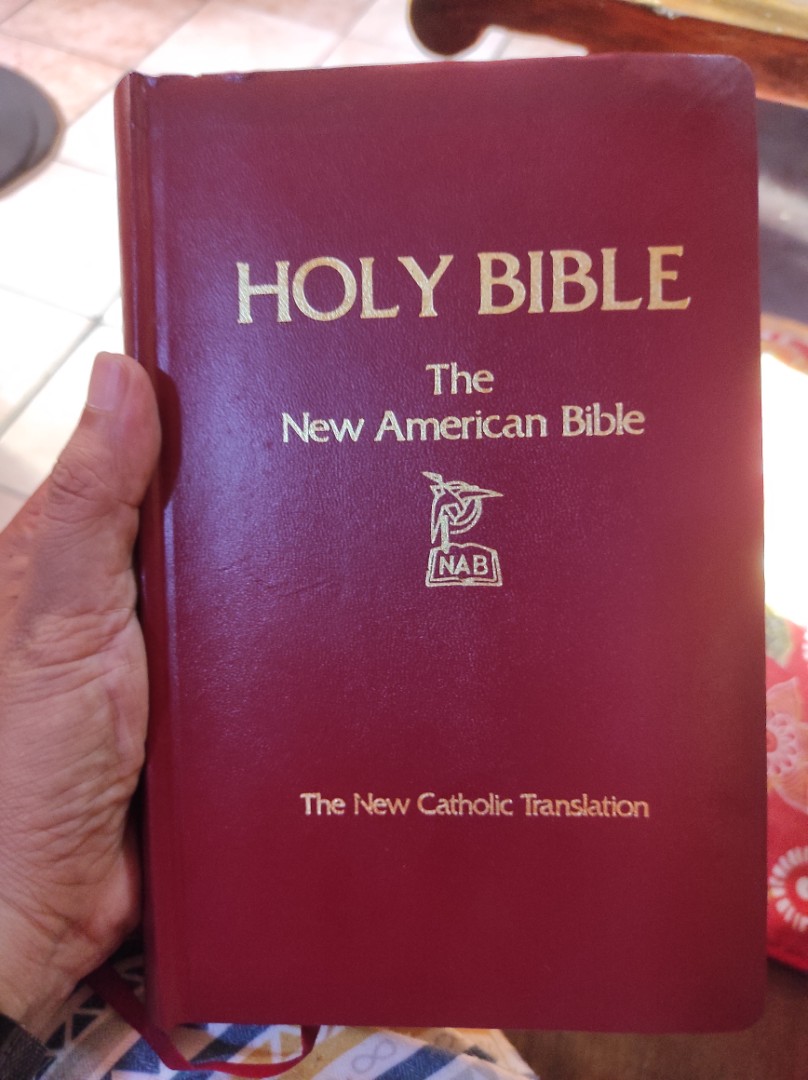 New American Bible, Hobbies & Toys, Books & Magazines, Religion Books ...