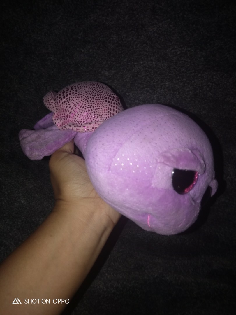 TY TURTLE SLOW POKE, Hobbies & Toys, Toys & Games on Carousell