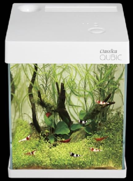 1ft Fish Tank - Classica Qubic 3, Pet Supplies, Homes & Other Pet ...
