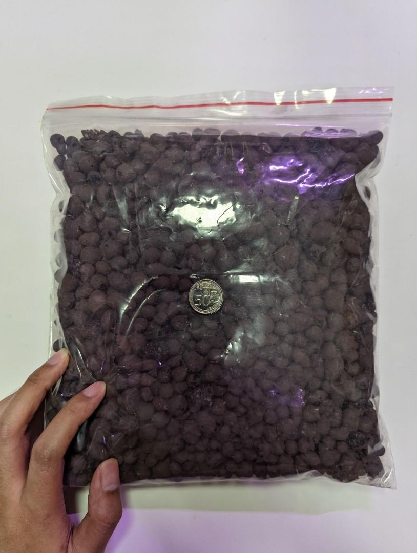 Large Bag of Leca (500g/3L), Furniture & Home Living, Gardening, Plants ...