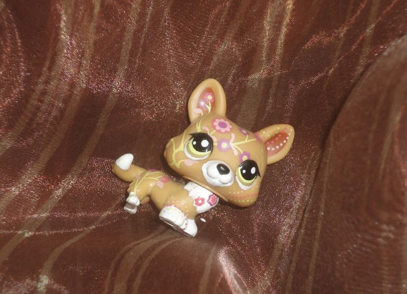 LPS Littlest Pet Shop Corgi, Toys & Collectibles, Mainan di Carousell