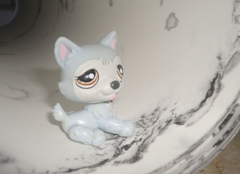 LPS Littlest Pet Shop Husky, Toys & Collectibles, Mainan di Carousell