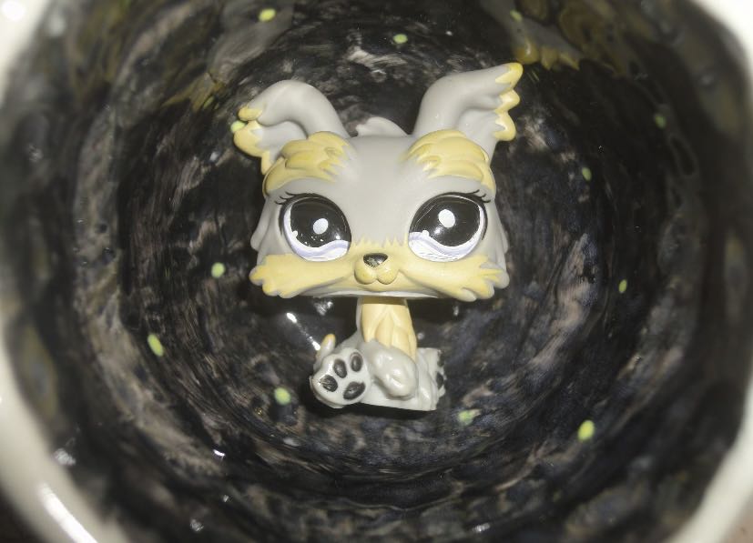 LPS Littlest Pet Shop Yorkie, Toys & Collectibles, Mainan di Carousell