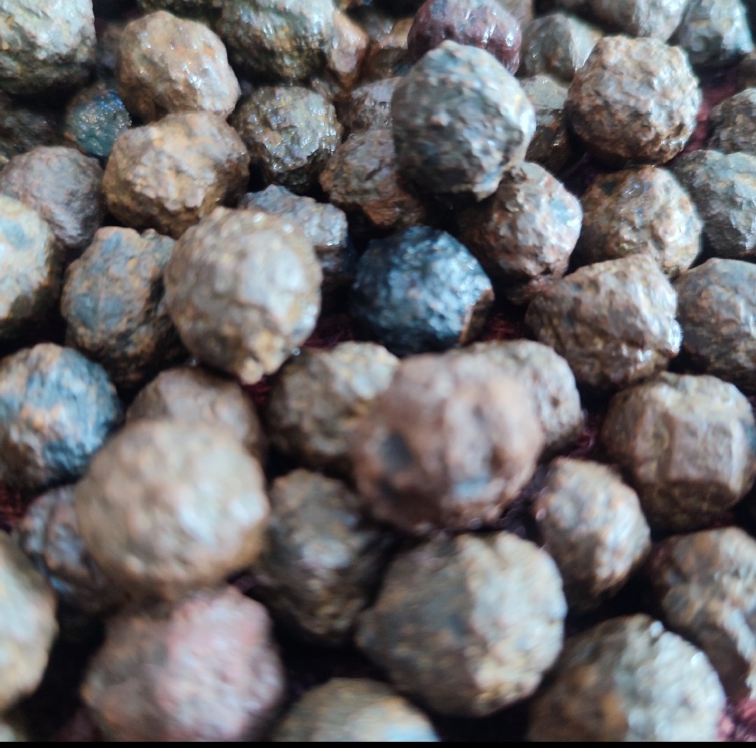 Mustika Stone/Sulawesi Indonesia Bugis Stone/Munta Besi/Munta Iron ...