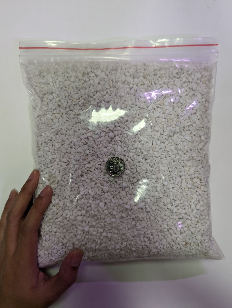 Large Bag of Perlite (300g/3L), Furniture & Home Living, Gardening ...