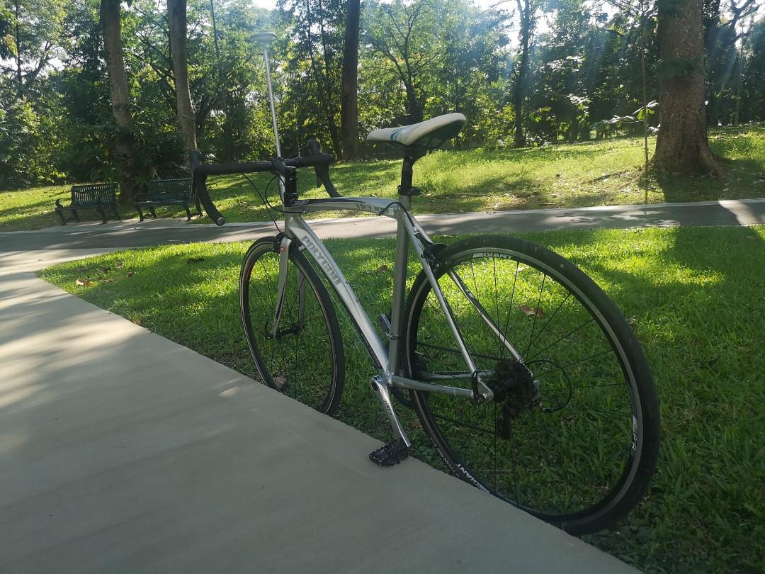 Polygon Helios 300 Road Bike Bicycle Shimano Tiagra 105, Sports ...