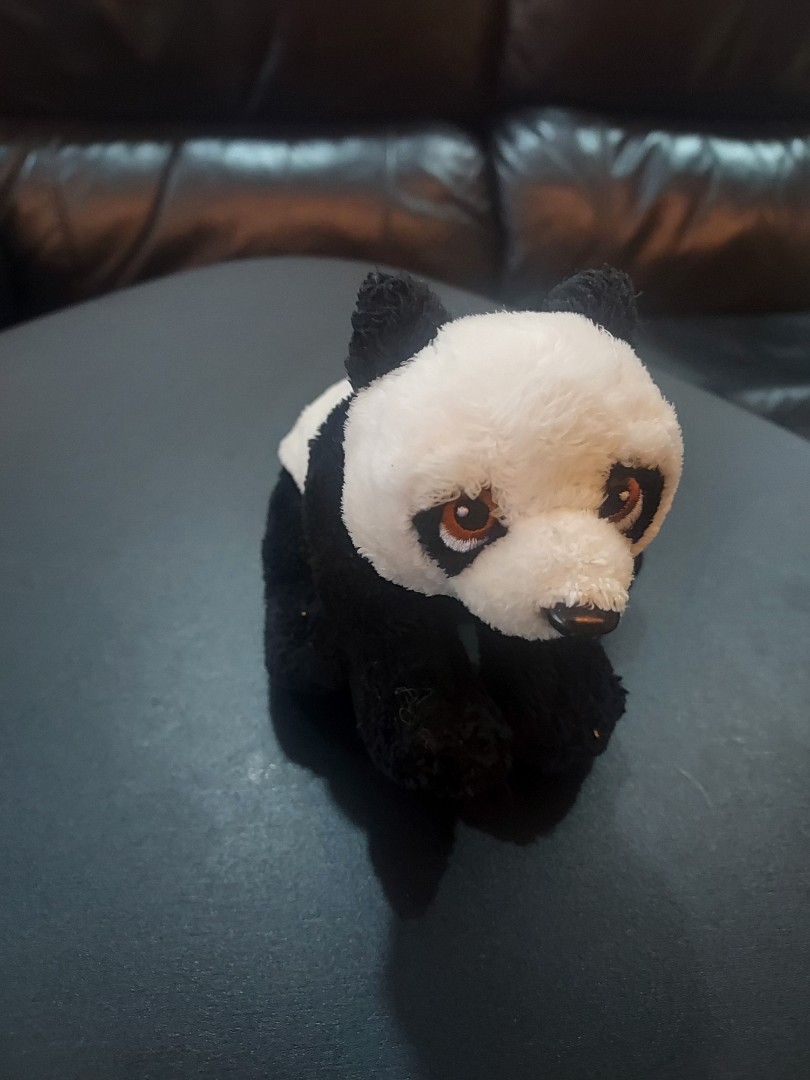 Soft toy Panda, Hobbies & Toys, Toys & Games on Carousell