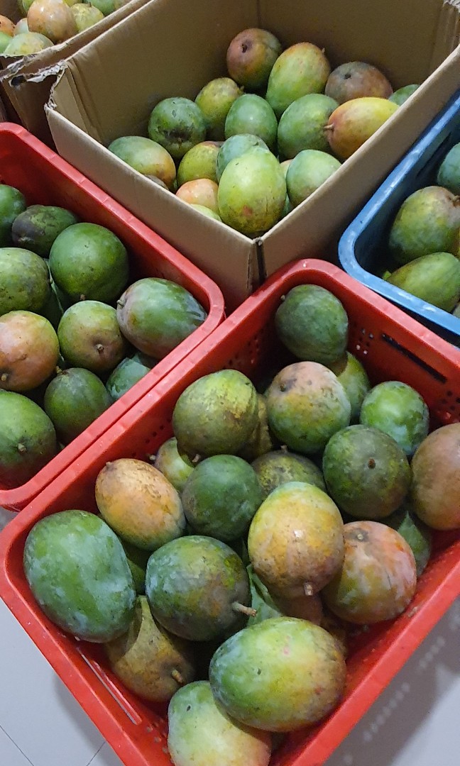 Fresh California Mangoes (apple mango), Food & Drinks, Fresh Produce on ...