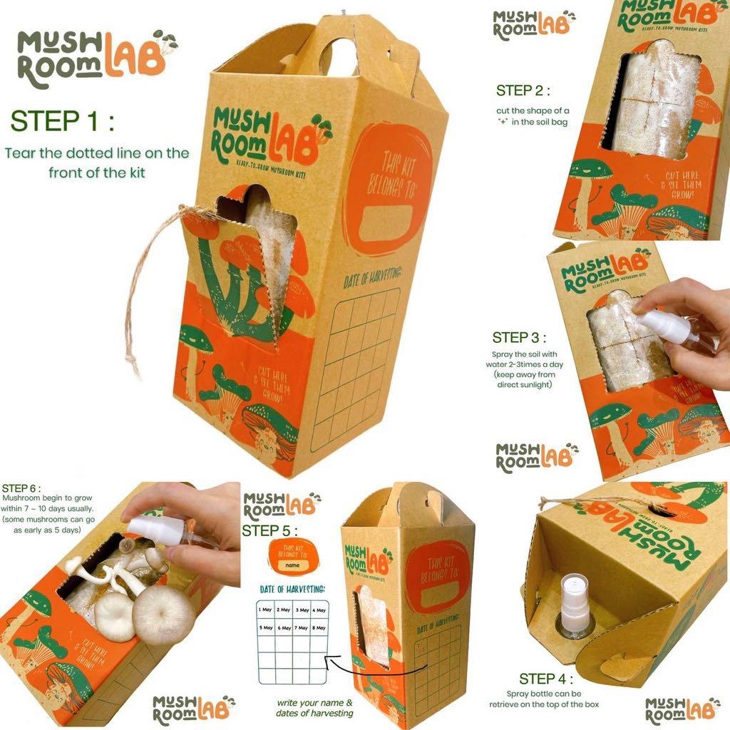 Kin Yan Pink Oyster Mushroom Farmer Kit, Furniture & Home Living ...