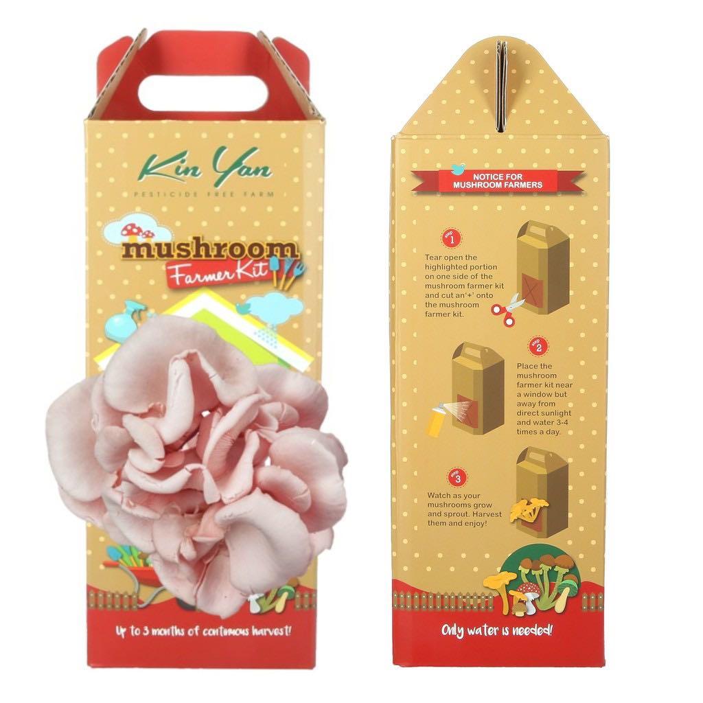 Kin Yan Pink Oyster Mushroom Farmer Kit, Furniture & Home Living ...