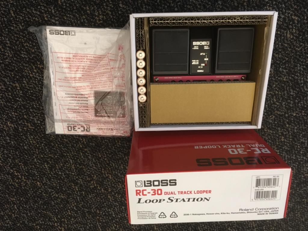 RC-30, a Twin Boss RC 30 multitrack looper with two synchronized stereo ...