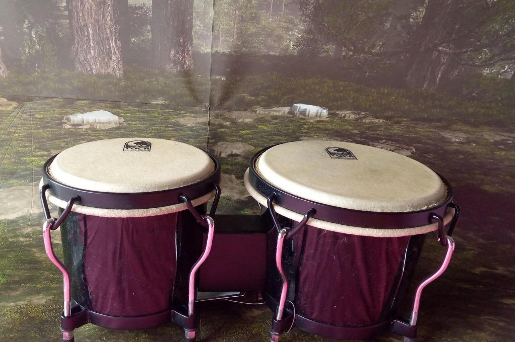 TOCA PERCUSSION Bongo Synergy Series 6 inch Natural Rawhide Heads Dual ...