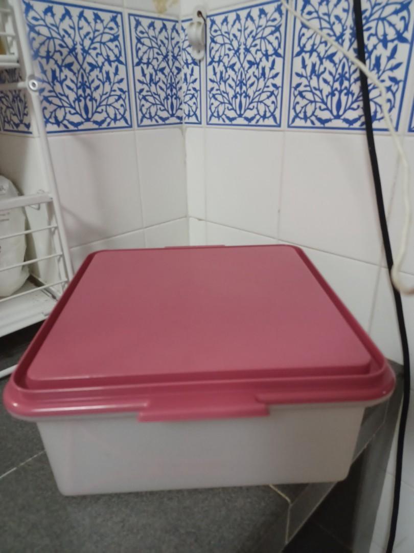 Tupperware mega keeper 10.5L cake box container, Furniture & Home ...