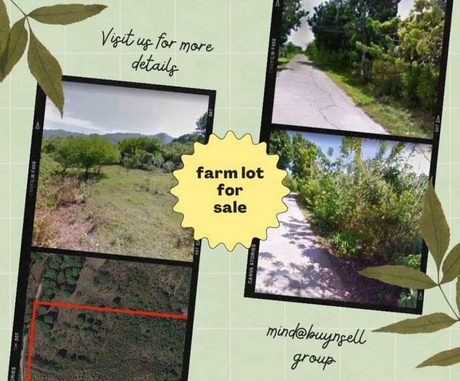 4 Hectare Farm Land For Sale, Property, For Sale, Lot on Carousell