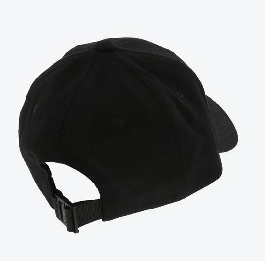 日本東京迪士尼樂園 Tokyo Disney Resort / Tokyo Disneyland / TDL 直送 Wear in ...