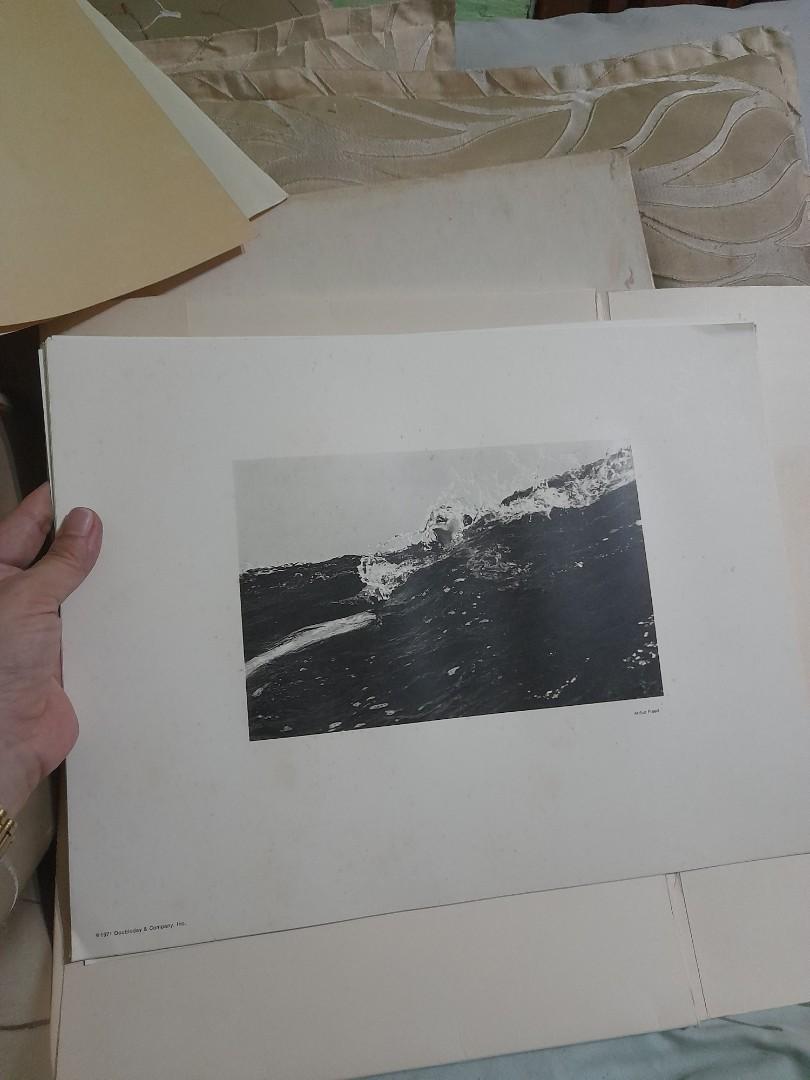 Eight Photographs Arthur Freed, Furniture & Home Living, Home Decor ...