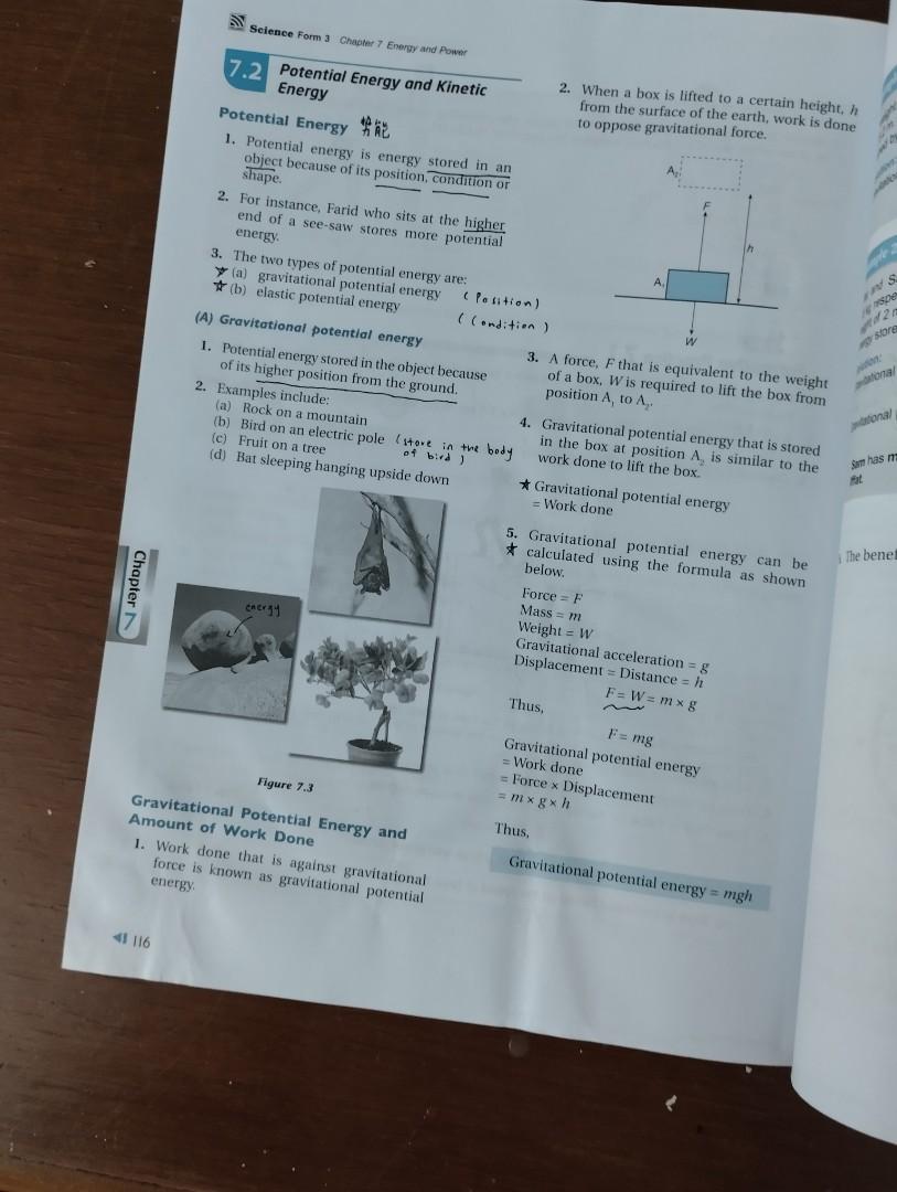 focus science form 3