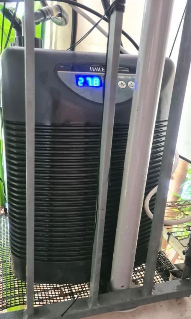 Hailea HC-300A Aquarium Chiller, Pet Supplies, Homes & Other Pet ...