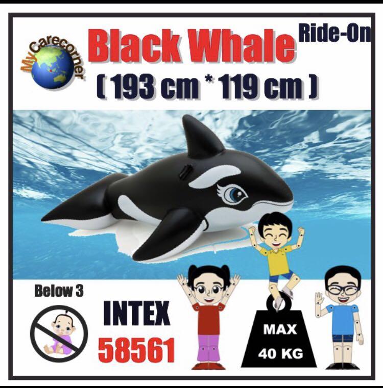 Killer whale float, Everything Else on Carousell