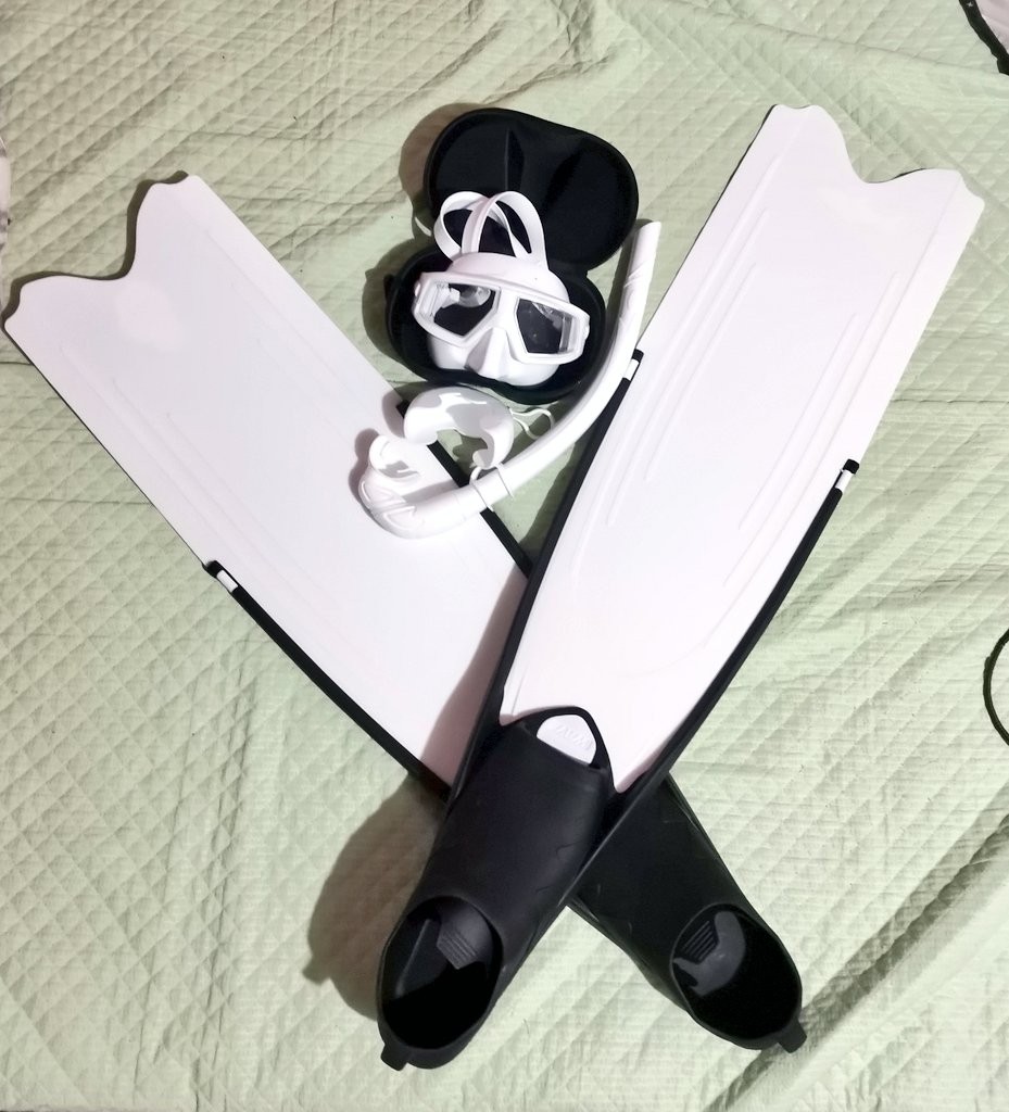 Plastic Long Fins (Freediving, spearfishing), Sports Equipment, Other ...