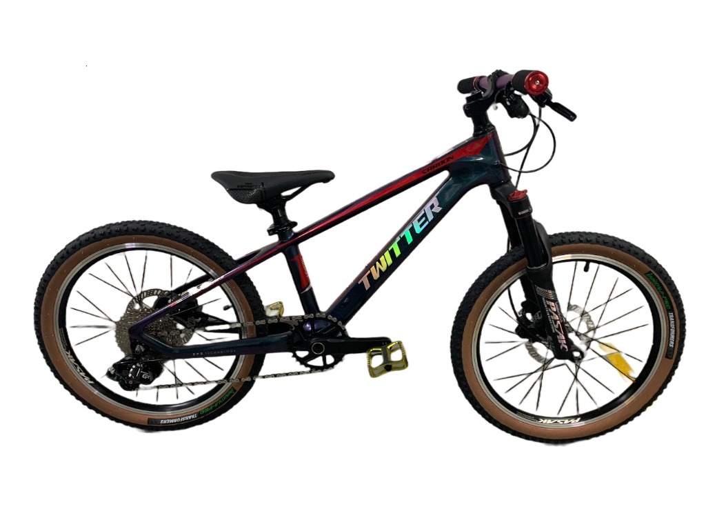 20寸 Twitter Carbon Kid MTB 碳纖兒童山地單車, 非Frog 52 / Early Rider, 運動產品, 單車及 ...