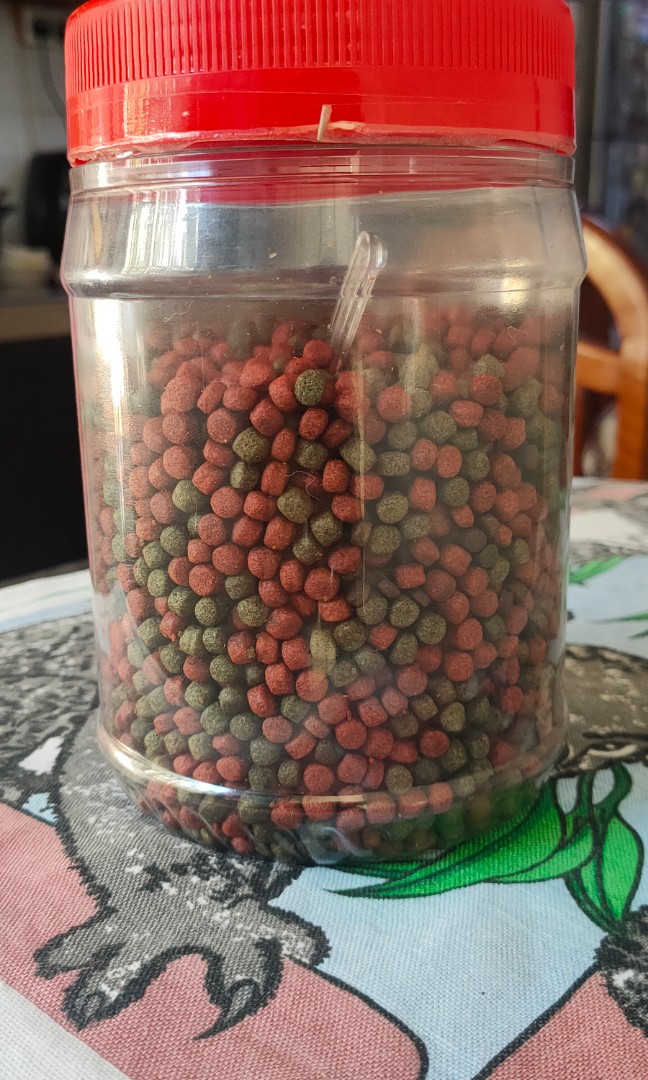 Fish pallet, Everything Else on Carousell